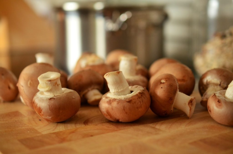 The best mushroom powder for cooking - mushroomjunkie